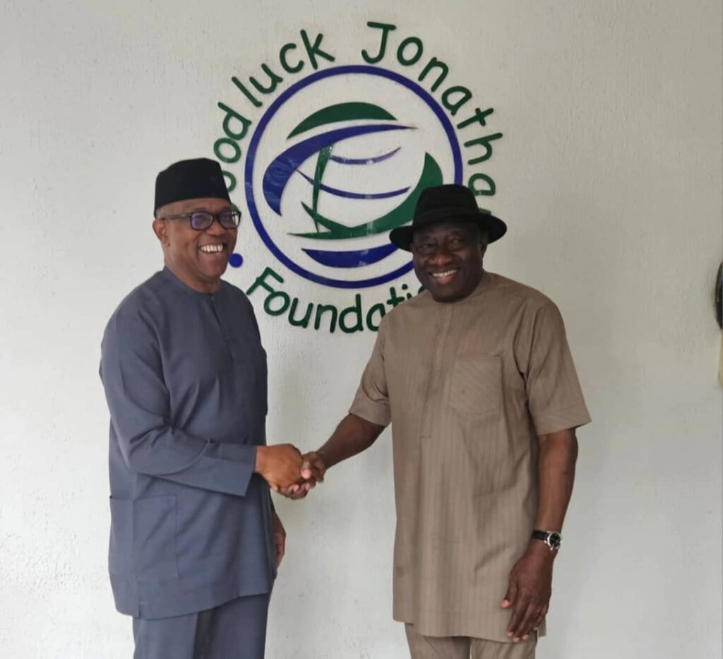 2027: Jonathan, Peter Meet in Abuja - Factsheet